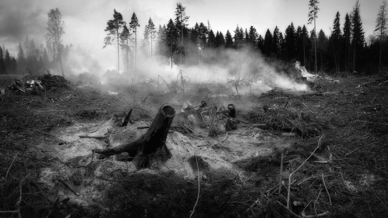 WHAT THE PALISADES FIRE TAUGHT POLICE ABOUT RESILIENT COMMUNICATIONS ...