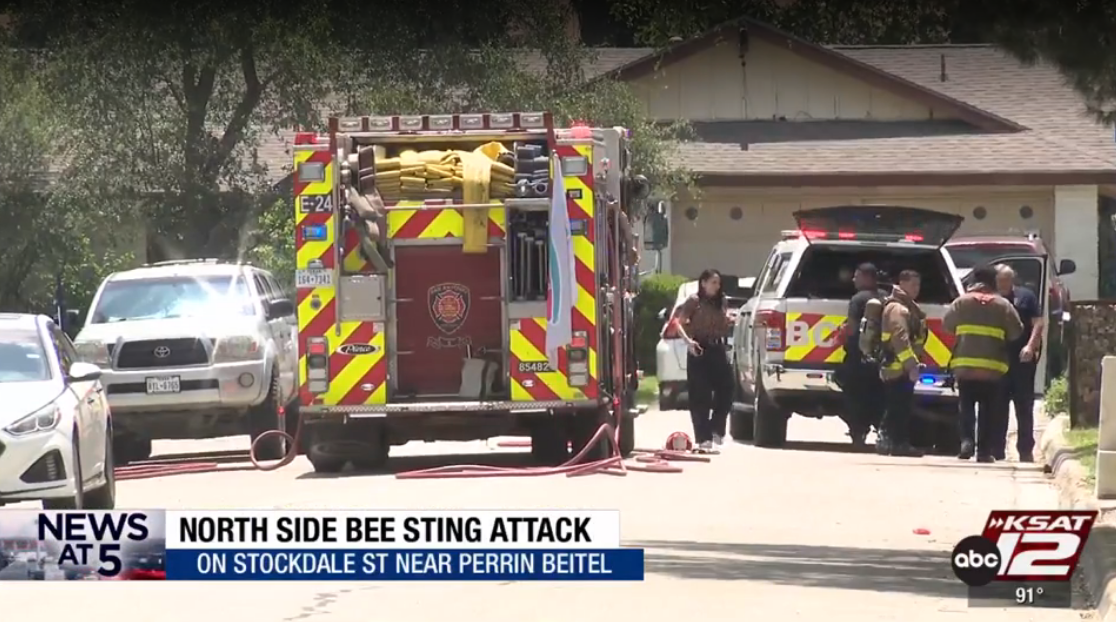 SAN ANTONIO FIREFIGHTER INJURED IN BEE STING ATTACK - TEXAS ...